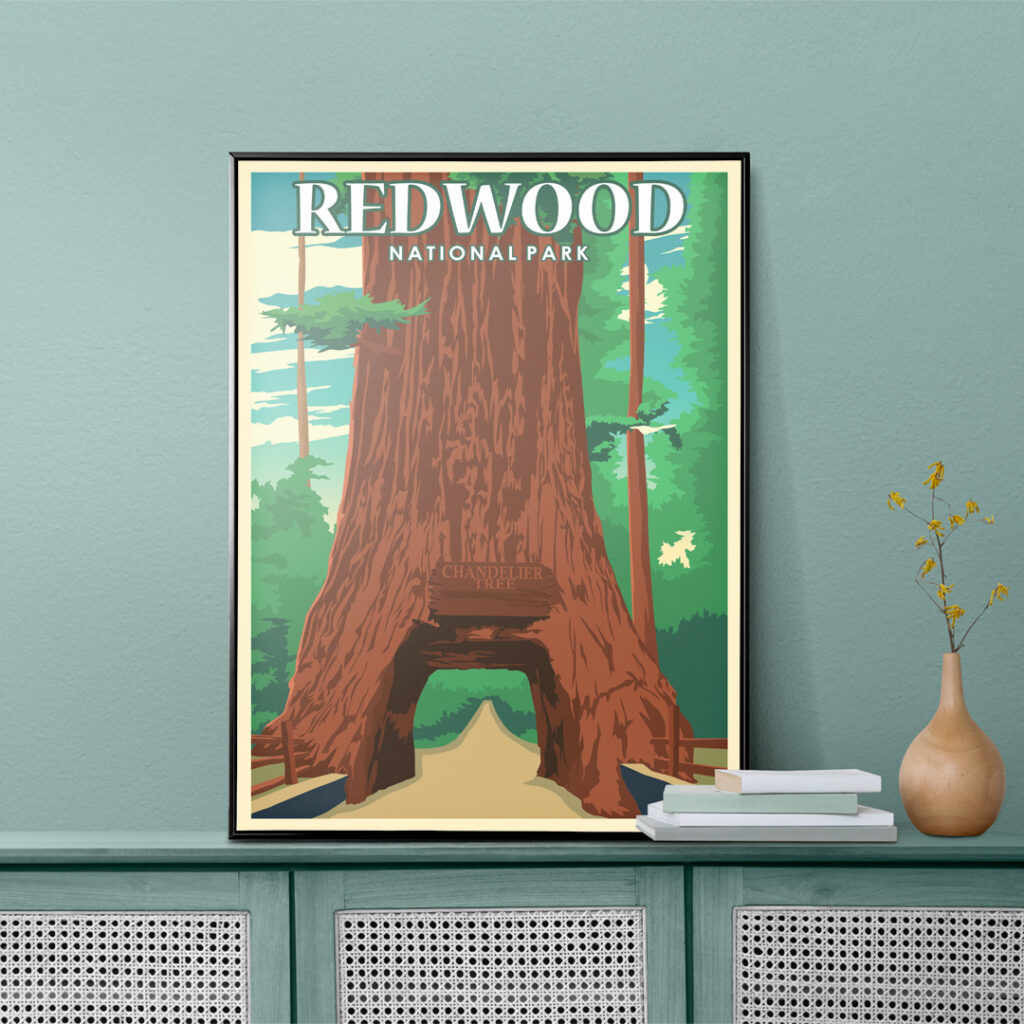 Redwood National Park USA Poster | Poster Nature: Art Prints